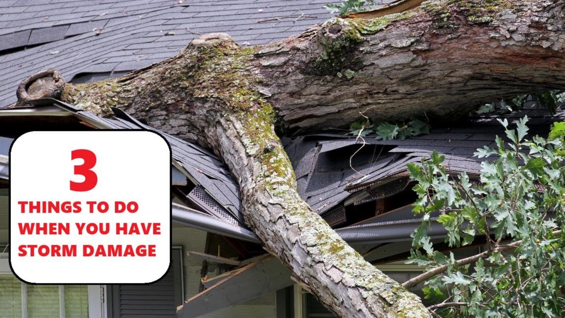 Storm Damage: The first 3 things you need to do | wfmynews2.com