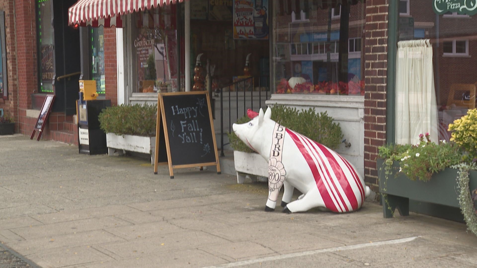Pigs in the City: The meaning behind the pigs in Lexington | wfmynews2.com