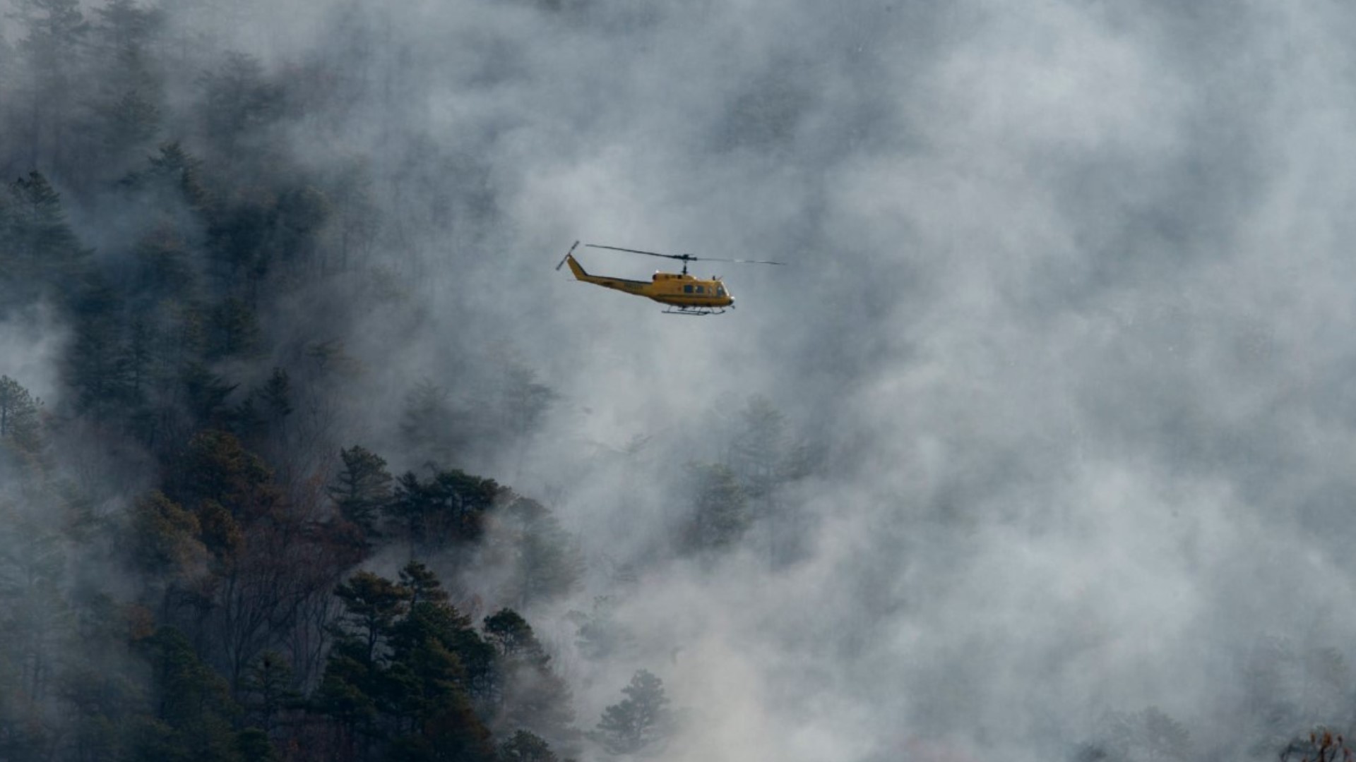 Pilot Mountain wildfire grows to more than 1,000 acres | wfmynews2.com