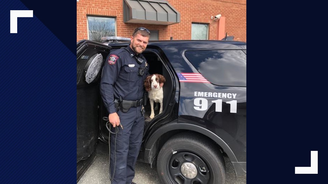 Graham's new police dog is a springer-spaniel named Coco | wfmynews2.com