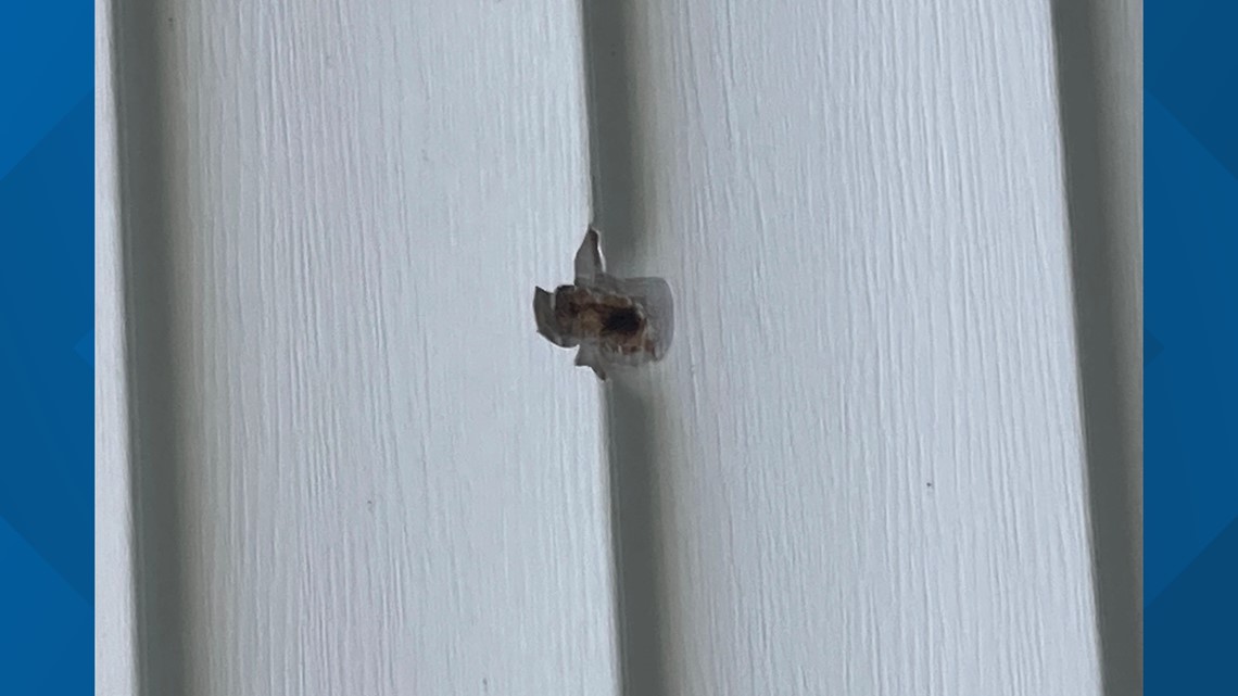 Homeowners want answers after stray bullets hit home | wfmynews2.com
