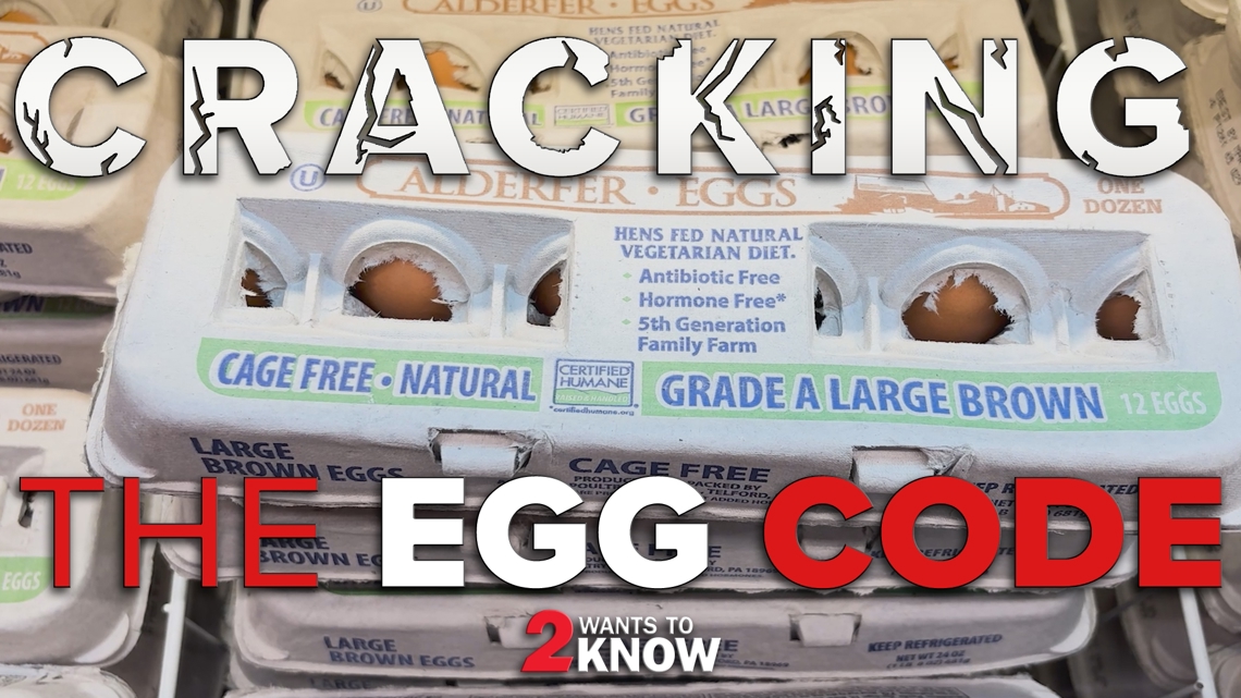 Cracking the code on egg labels | wfmynews2.com