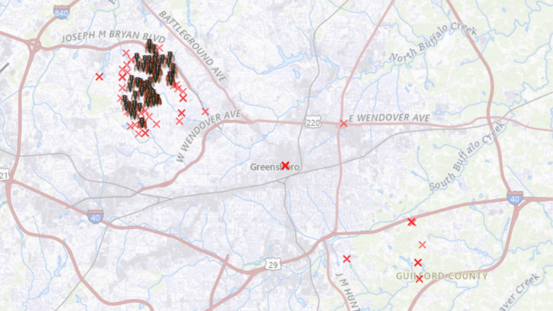 When are the cicadas going away and when will they return to NC? | wfmynews2.com