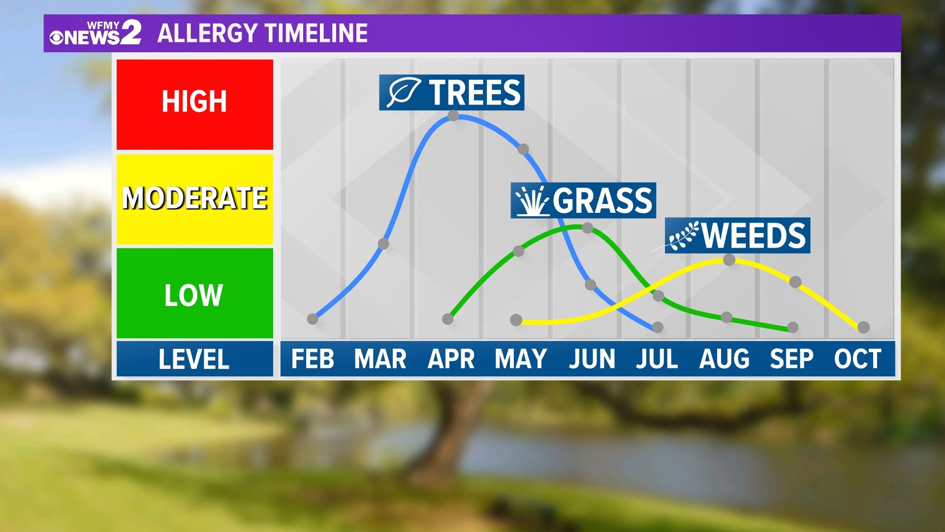 High Tree Pollen Now, Grass and Weed Pollen Peak Next | wfmynews2.com