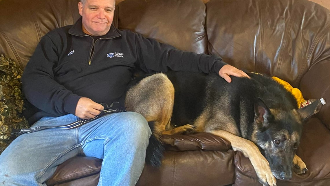 Davie County service dog shot, killed | wfmynews2.com