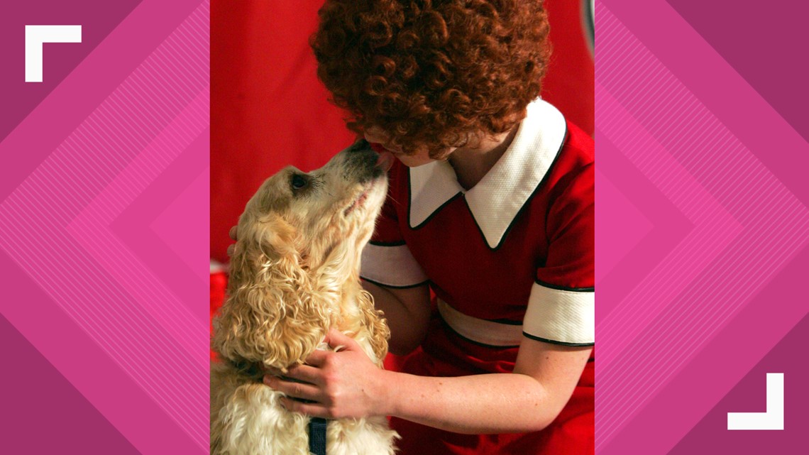 Is Your Dog a STAR? The Drama Center is Holding Auditions for 'Sandy ...