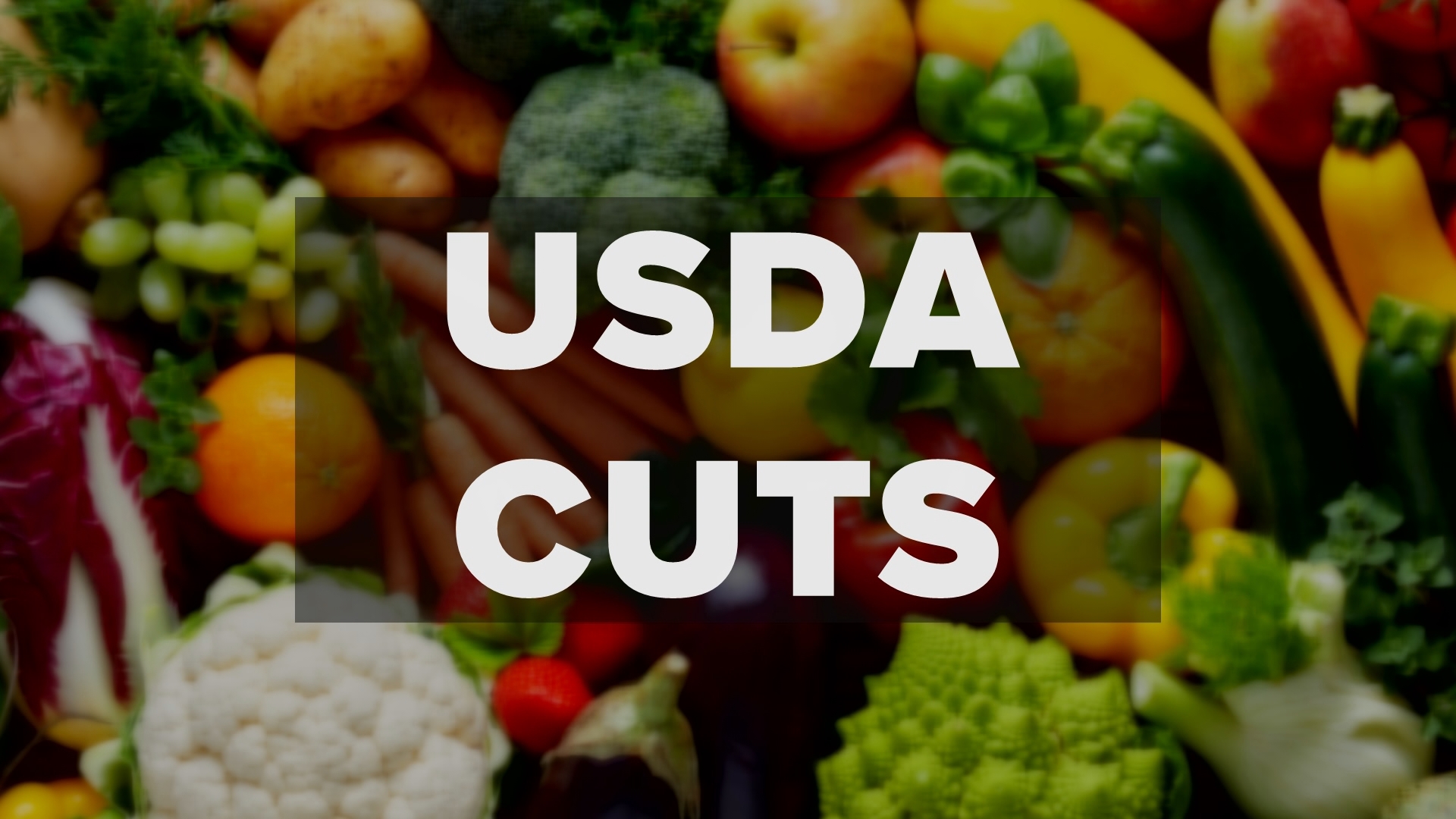 Triad food banks feeling the brunt of USDA cuts | 2 Wants to Know ...