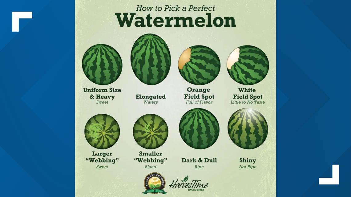 How to pick the perfect watermelon: Use this guide! | wfmynews2.com