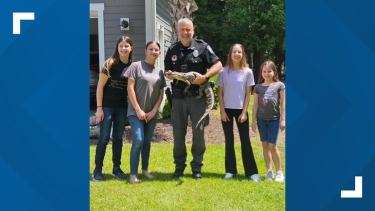 Family finds alligator under car in North Carolina | wfmynews2.com