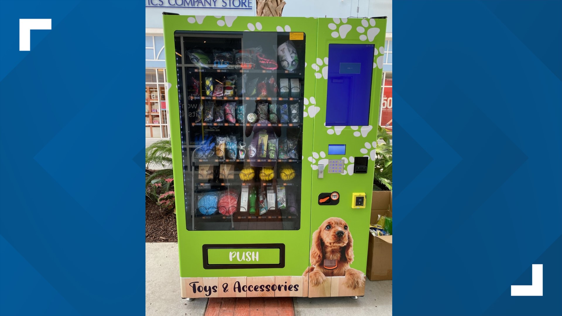 A&T Alumni establishes pet supply vending machine | wfmynews2.com
