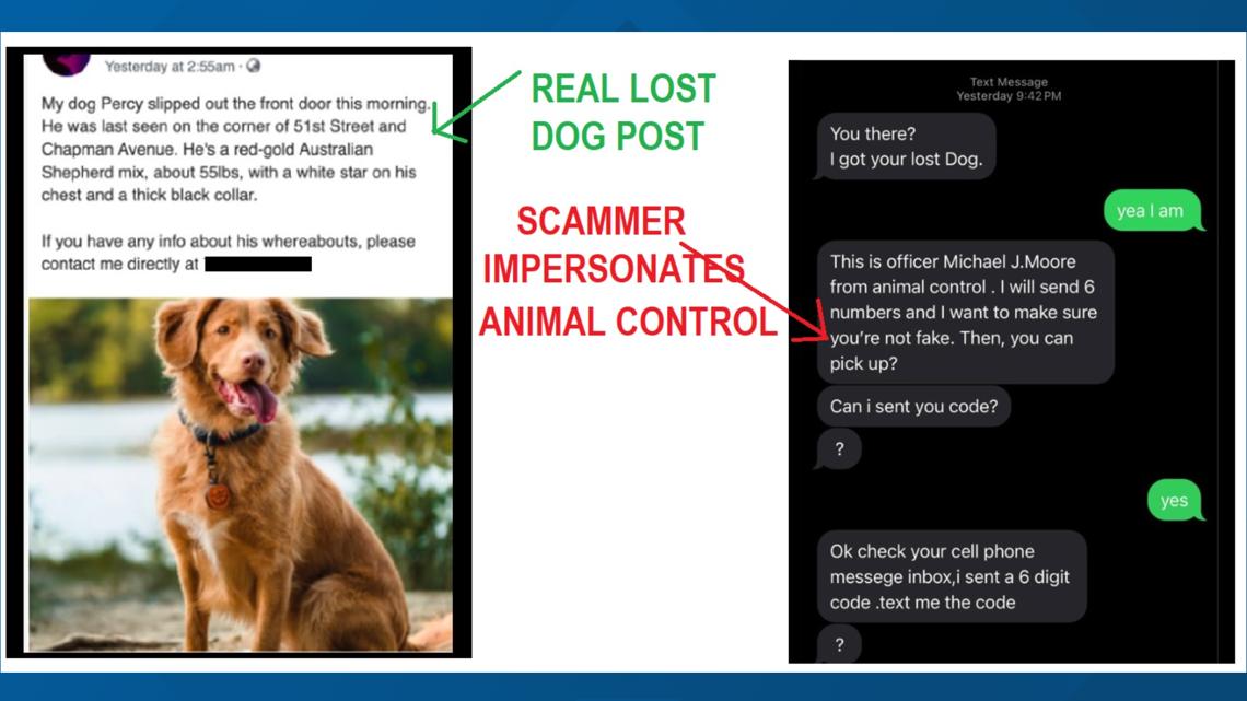 North Carolina: Scammers are targeting lost dog posts on Facebook ...