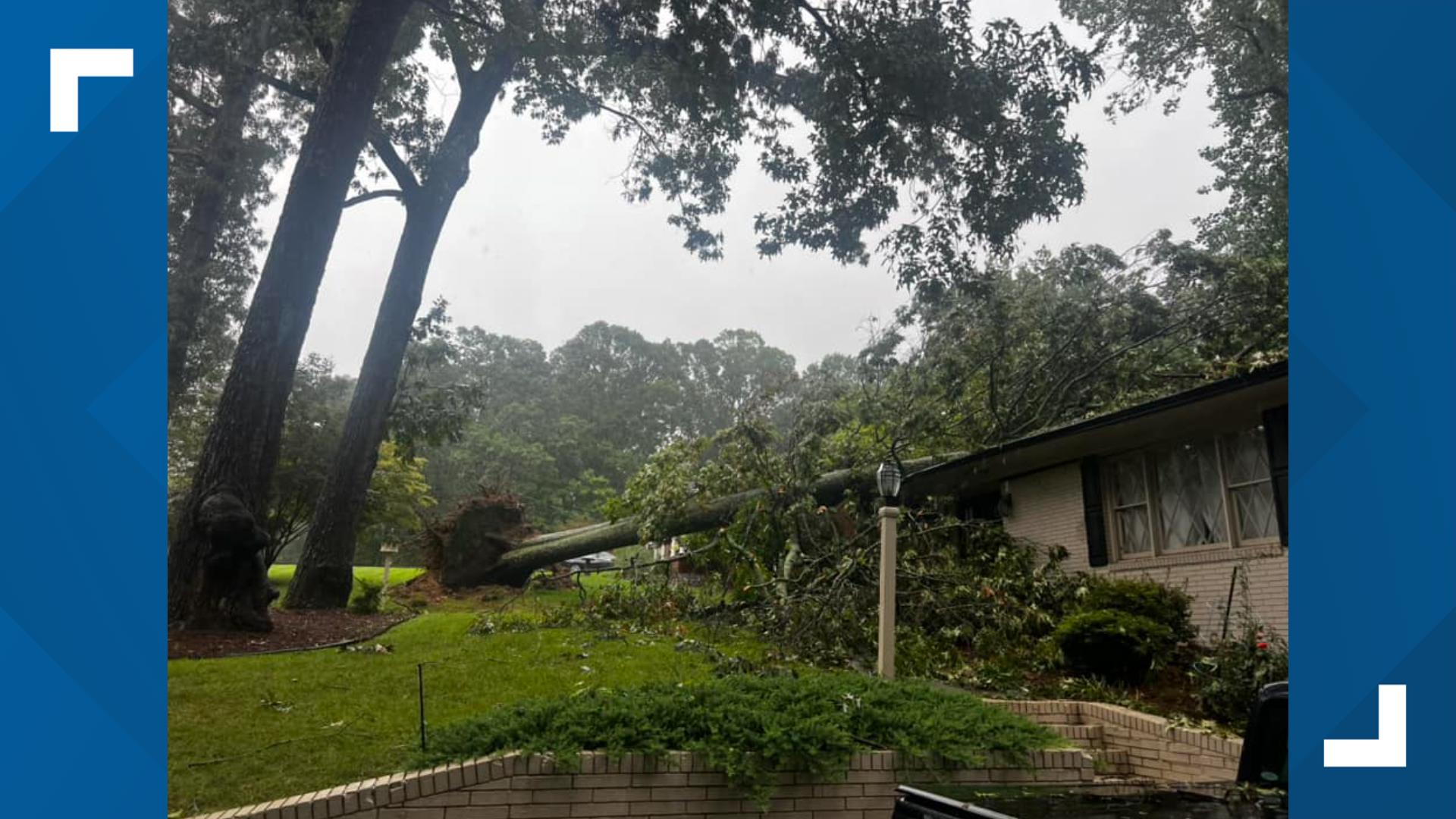 Debby cleanup begins in NC as families deal with damage | wfmynews2.com