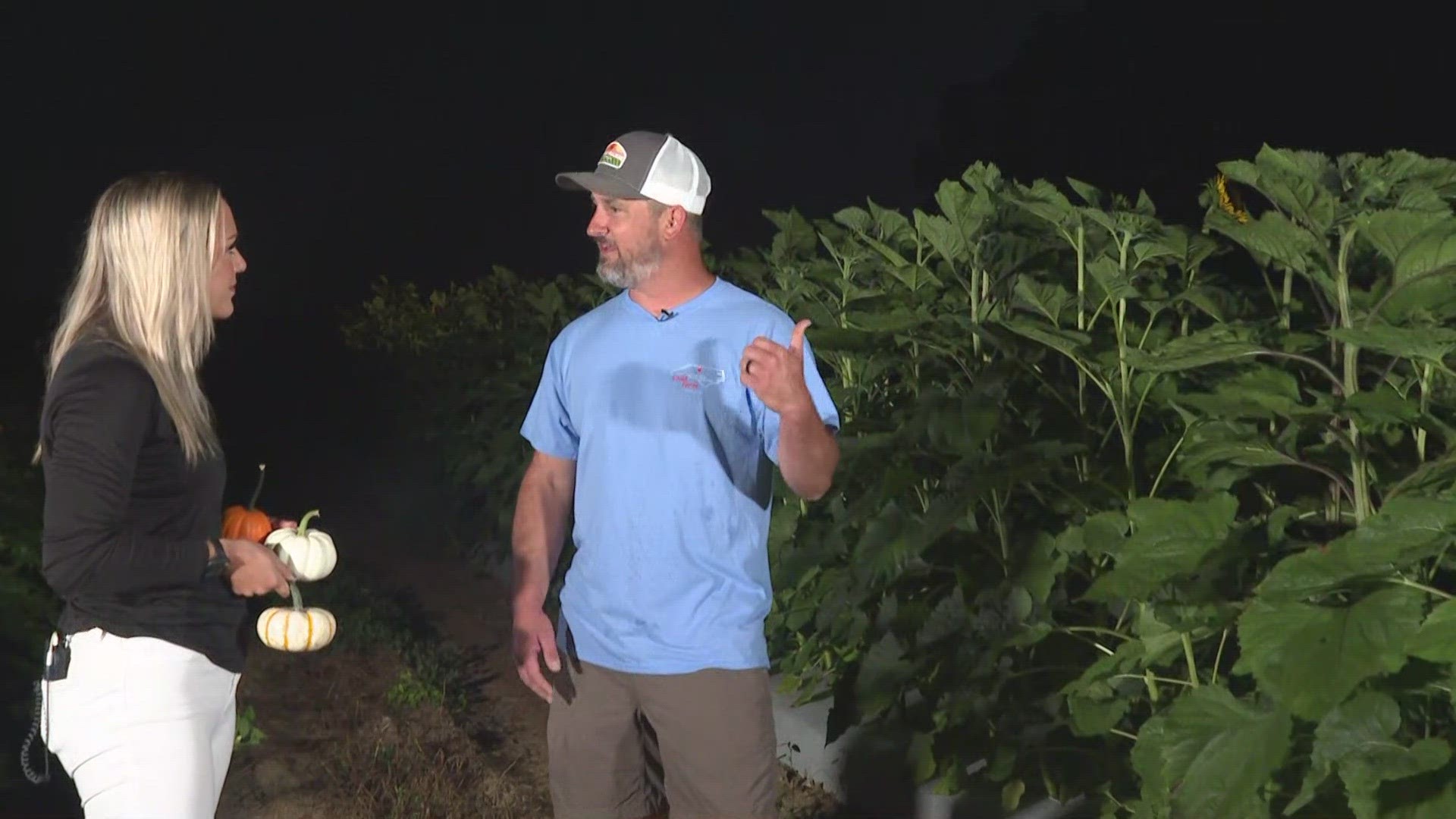 Hot and wet summers impact on fall crop | wfmynews2.com