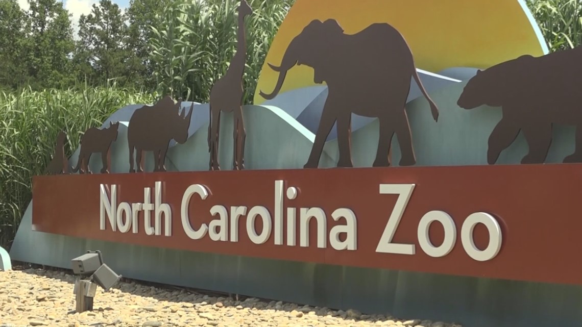 North Carolina Zoo wins 'Best Zoo' in the nation | wfmynews2.com