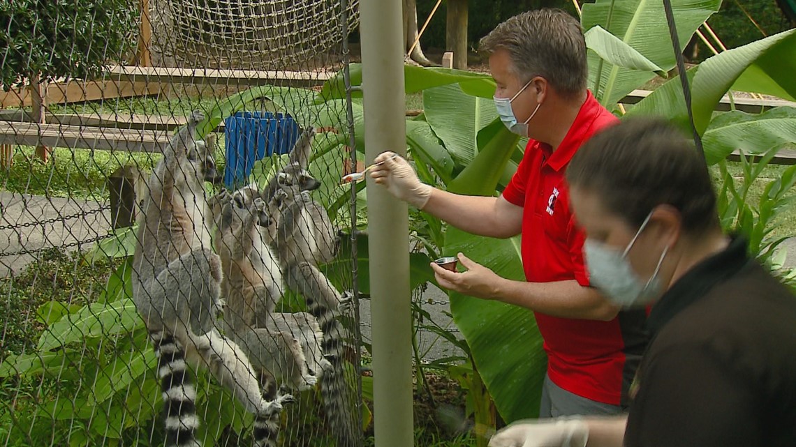 Getting up close to the animals at the Greensboro Science Center ...