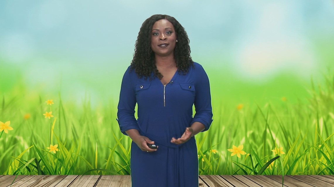 GSO Mayor Robbie Perkins Defends Personal Life, Finances | wfmynews2.com