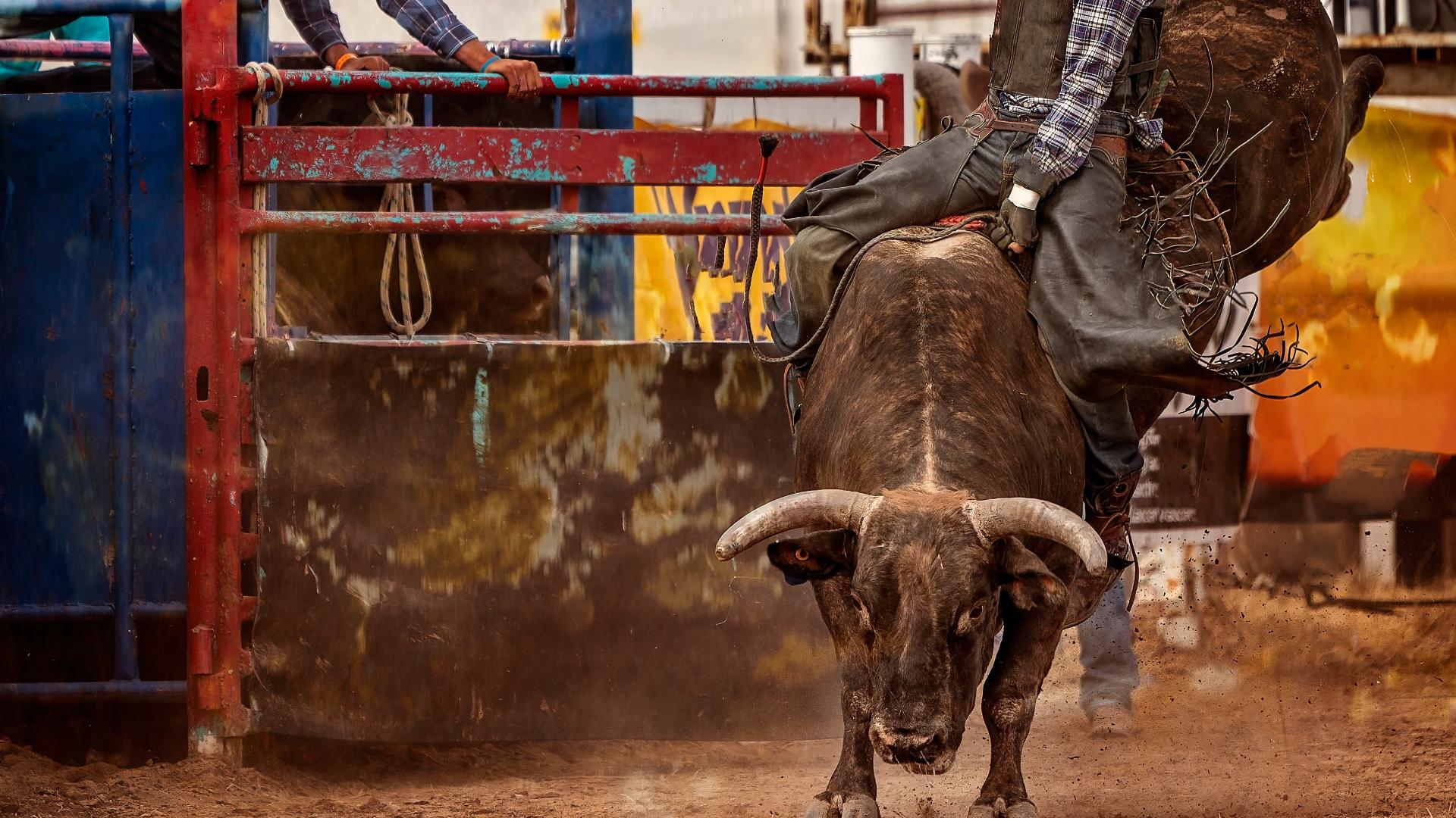 Cone Health becomes part of Risant Health: Here's what it means ...