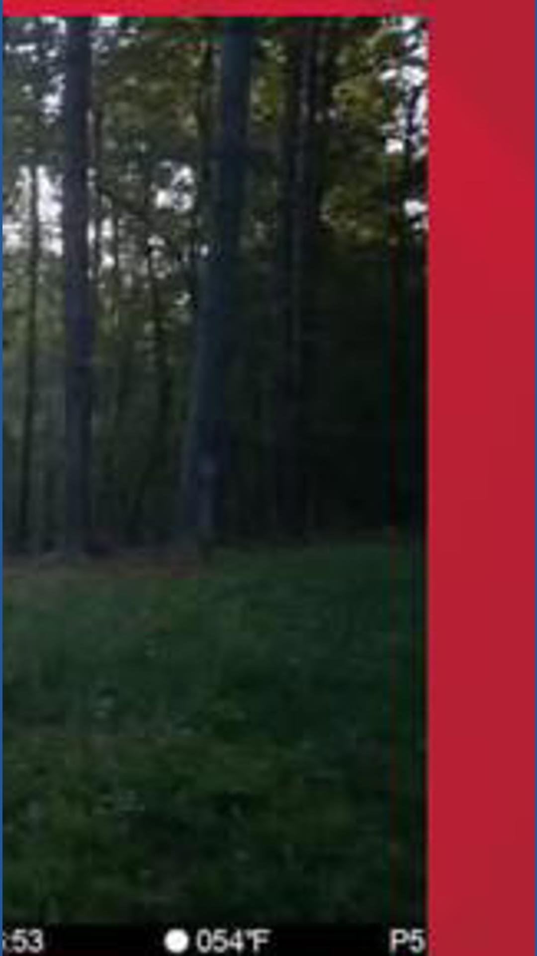 Suspect in Carroll County deputy killing spotted on wildlife camera in ...
