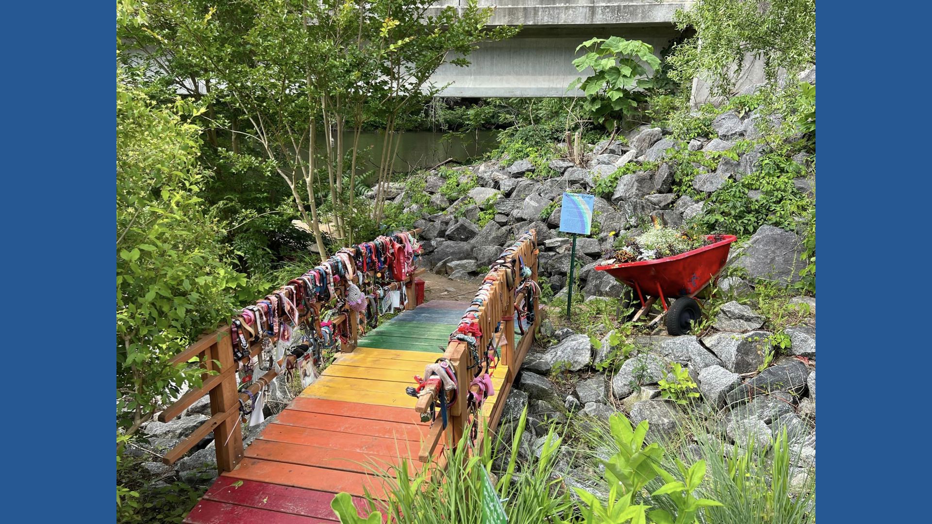 Beloved Rainbow Bridge will return as part of new plans at Lake Lure ...