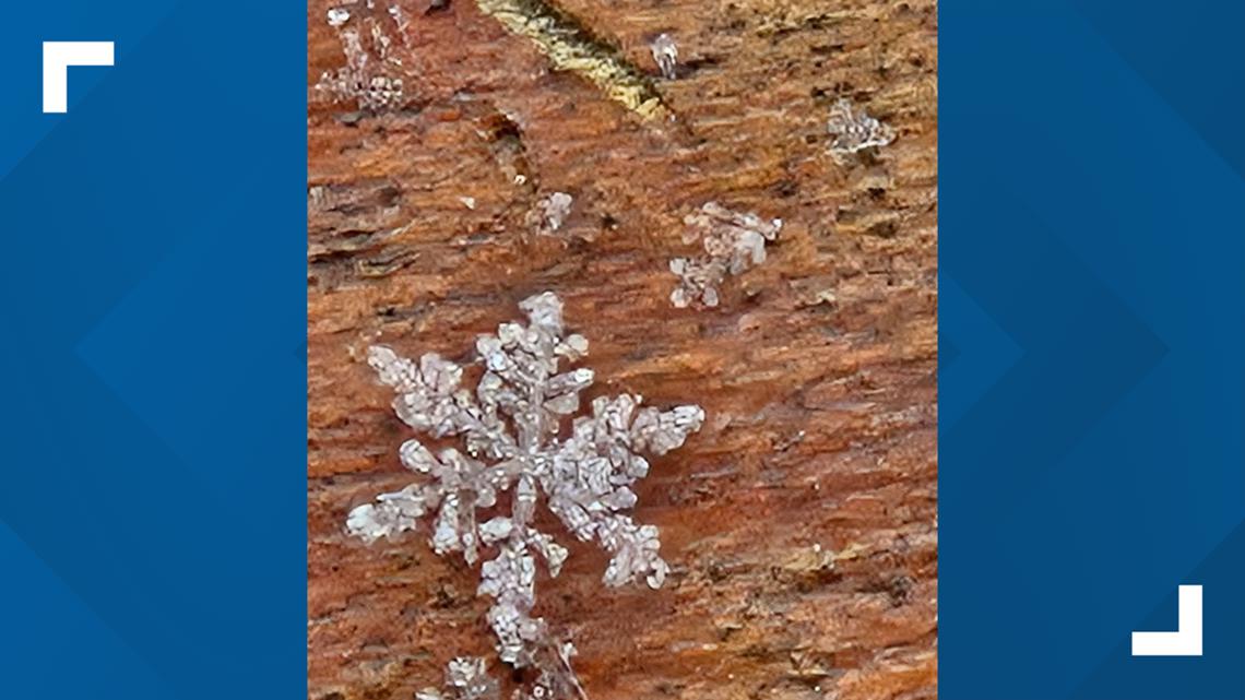 Giant Snowflakes Fell Across The Triad Today: Find Out How! | wfmynews2.com