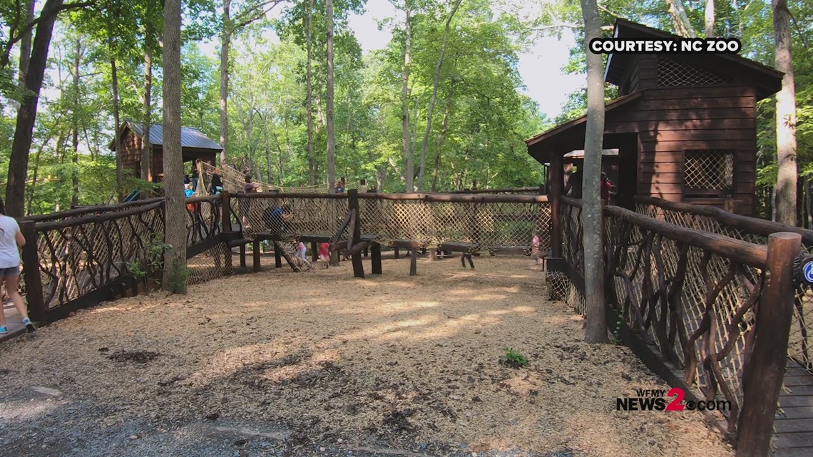 NC Zoo Opens Huge Treehouse Play Area | wfmynews2.com