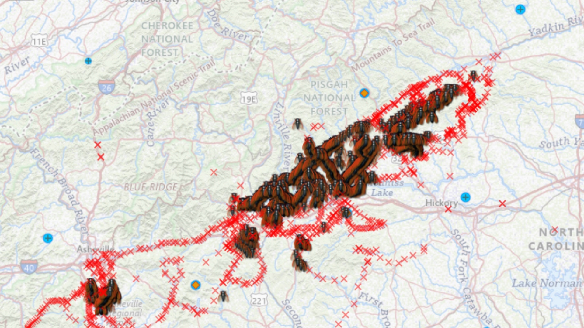 When are the cicadas going away and when will they return to NC? | wfmynews2.com