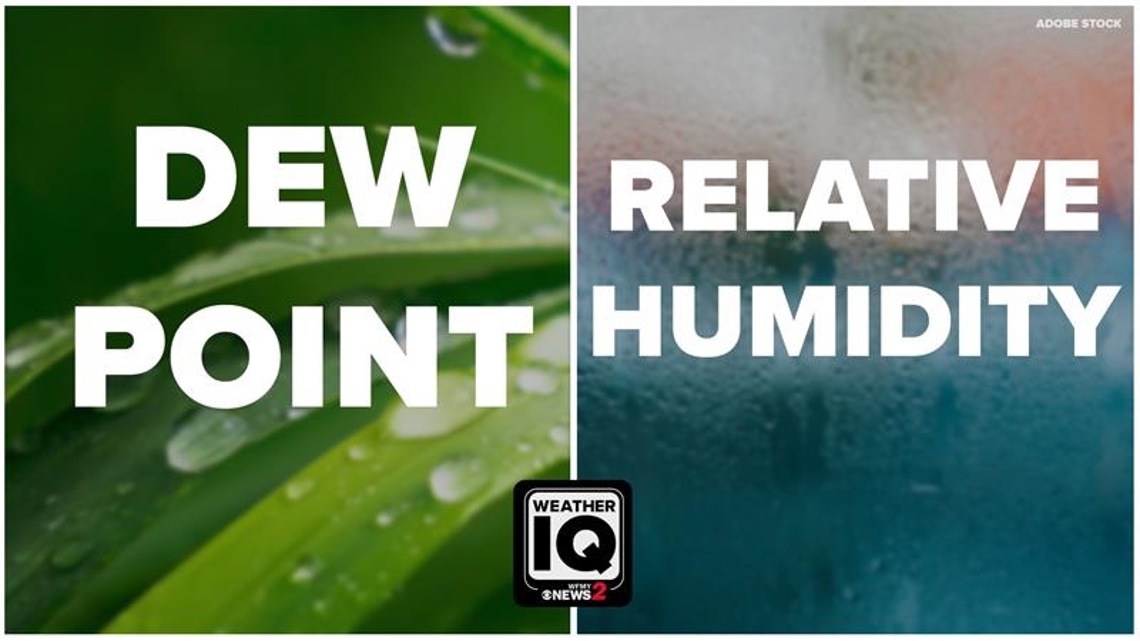 Weather IQ: Dew point vs. relative humidity | wfmynews2.com