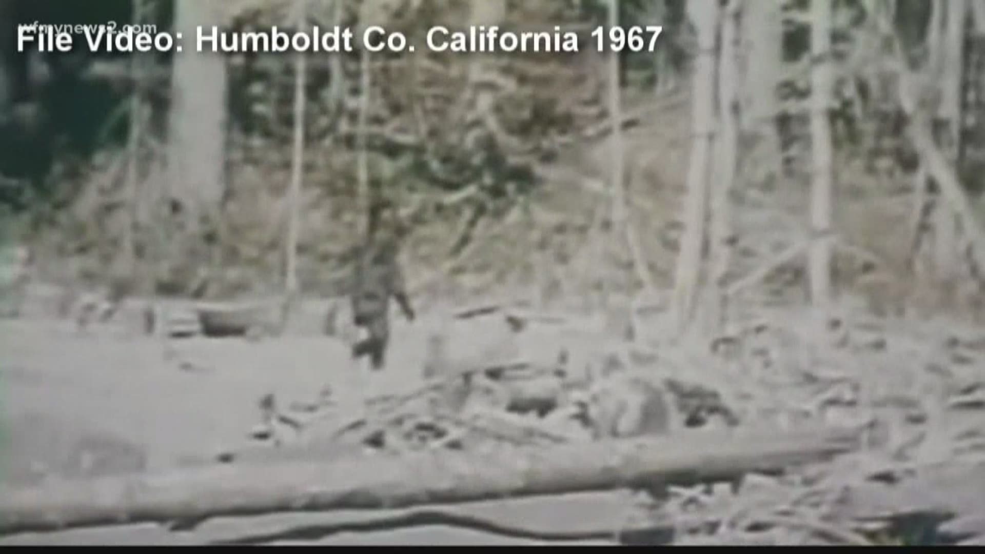 FBI Documents Reveal Bigfoot Investigation | wfmynews2.com