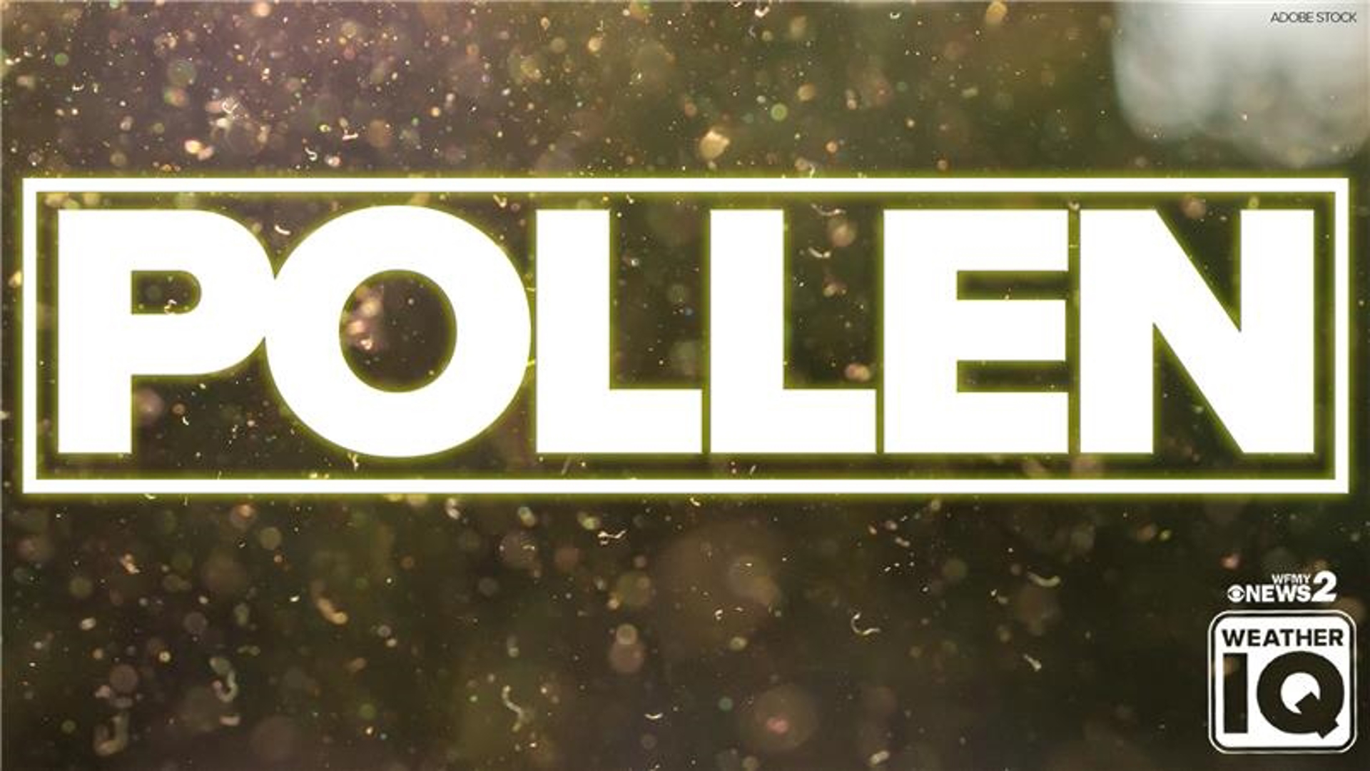 North Carolina pollen season ramping up | wfmynews2.com