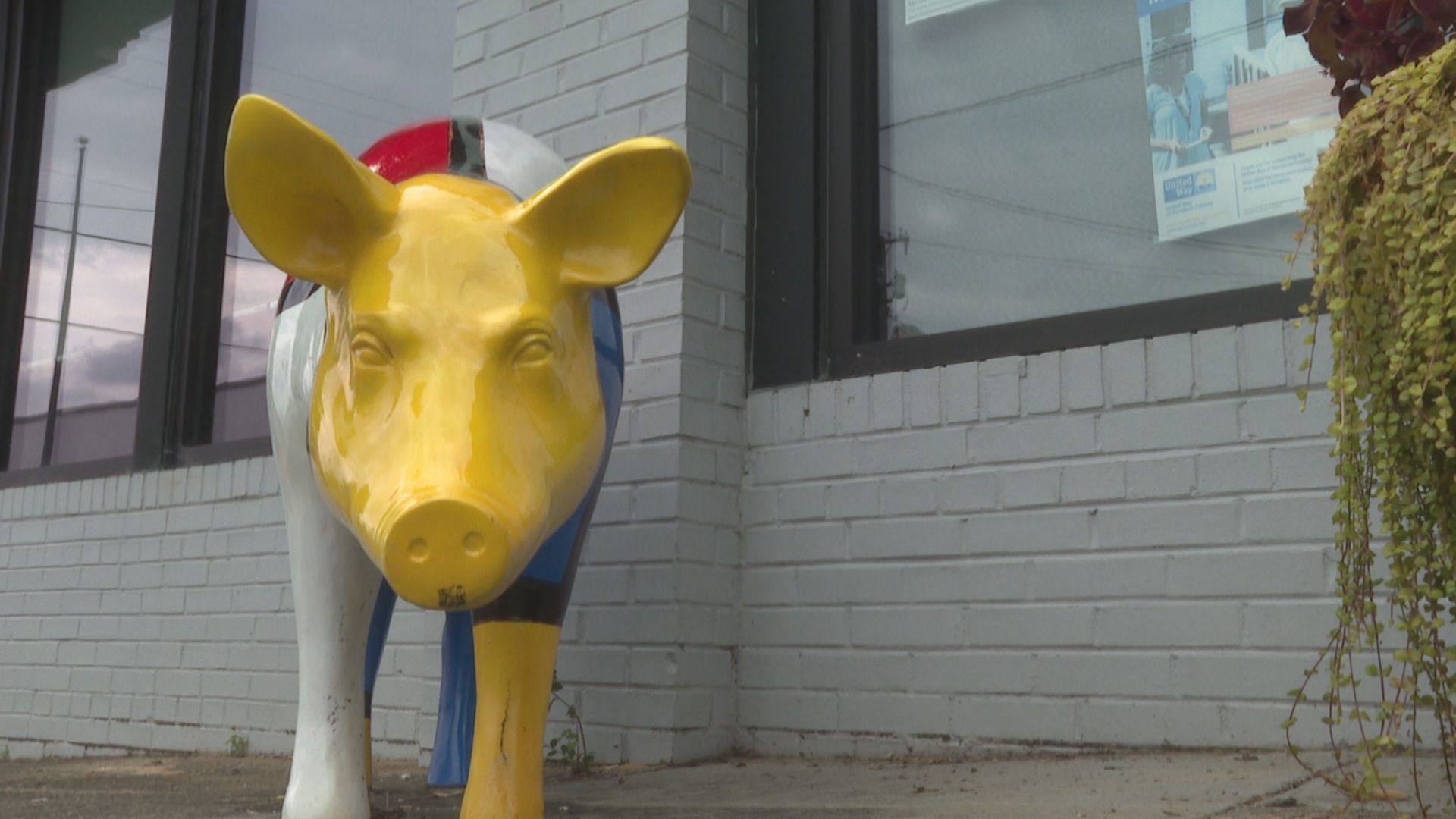 Pigs in the City: The meaning behind the pigs in Lexington | wfmynews2.com