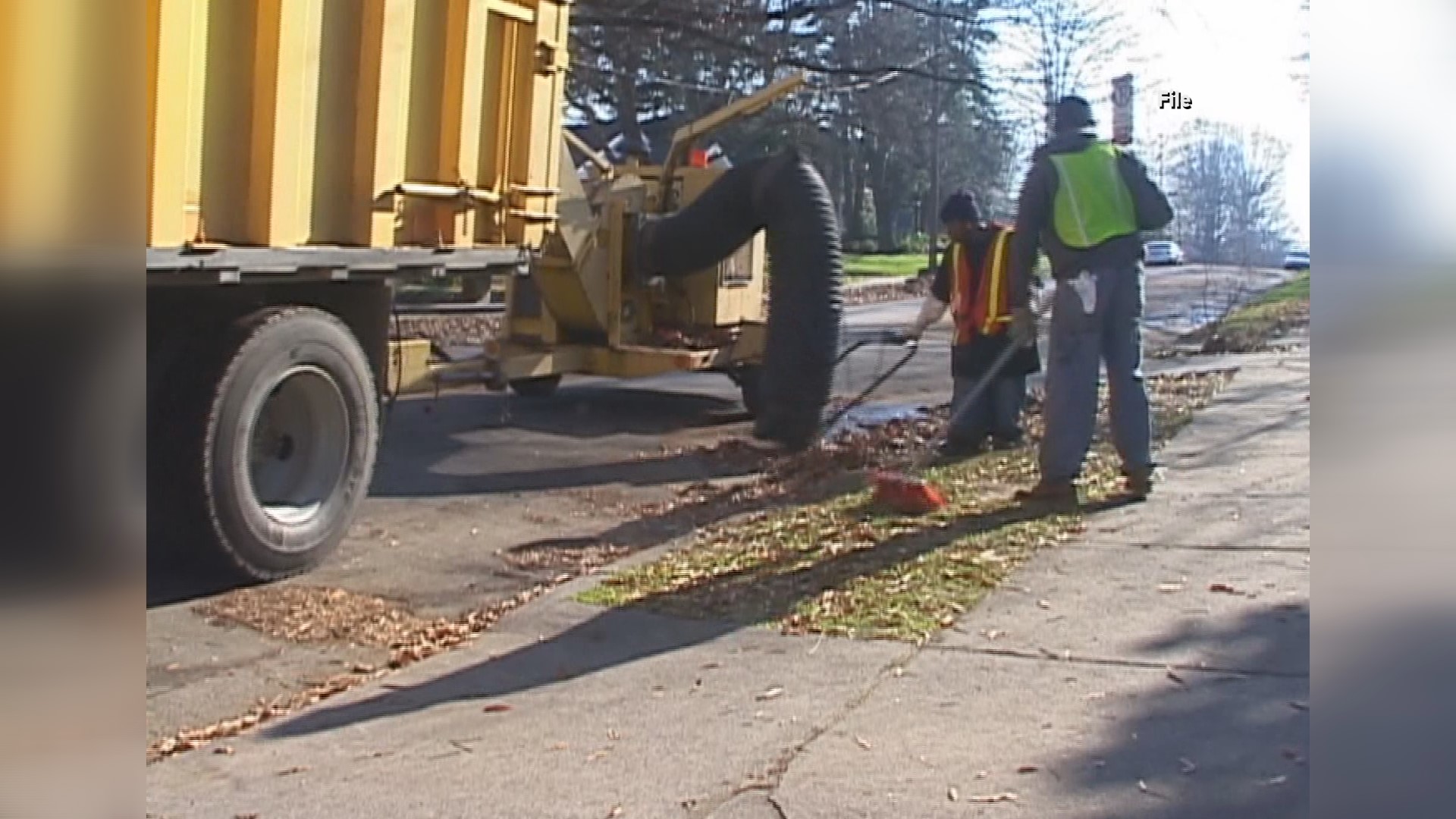 Petition to save Greensboro's loose leaf program | wfmynews2.com