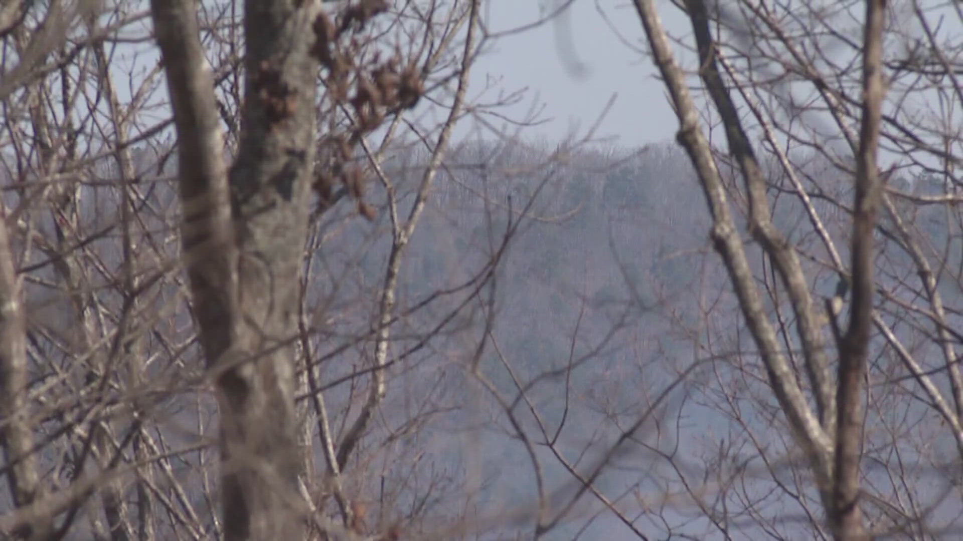 Myrtle Beach woman charged in Carolina Forest wildfire that burned 2,000 acres | wfmynews2.com