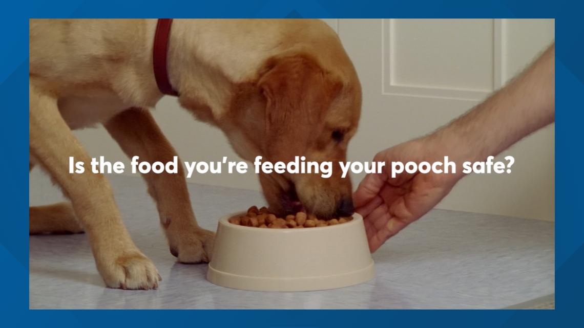 Is the food you're feeding your dog safe? Consumer Reports tests 50 ...