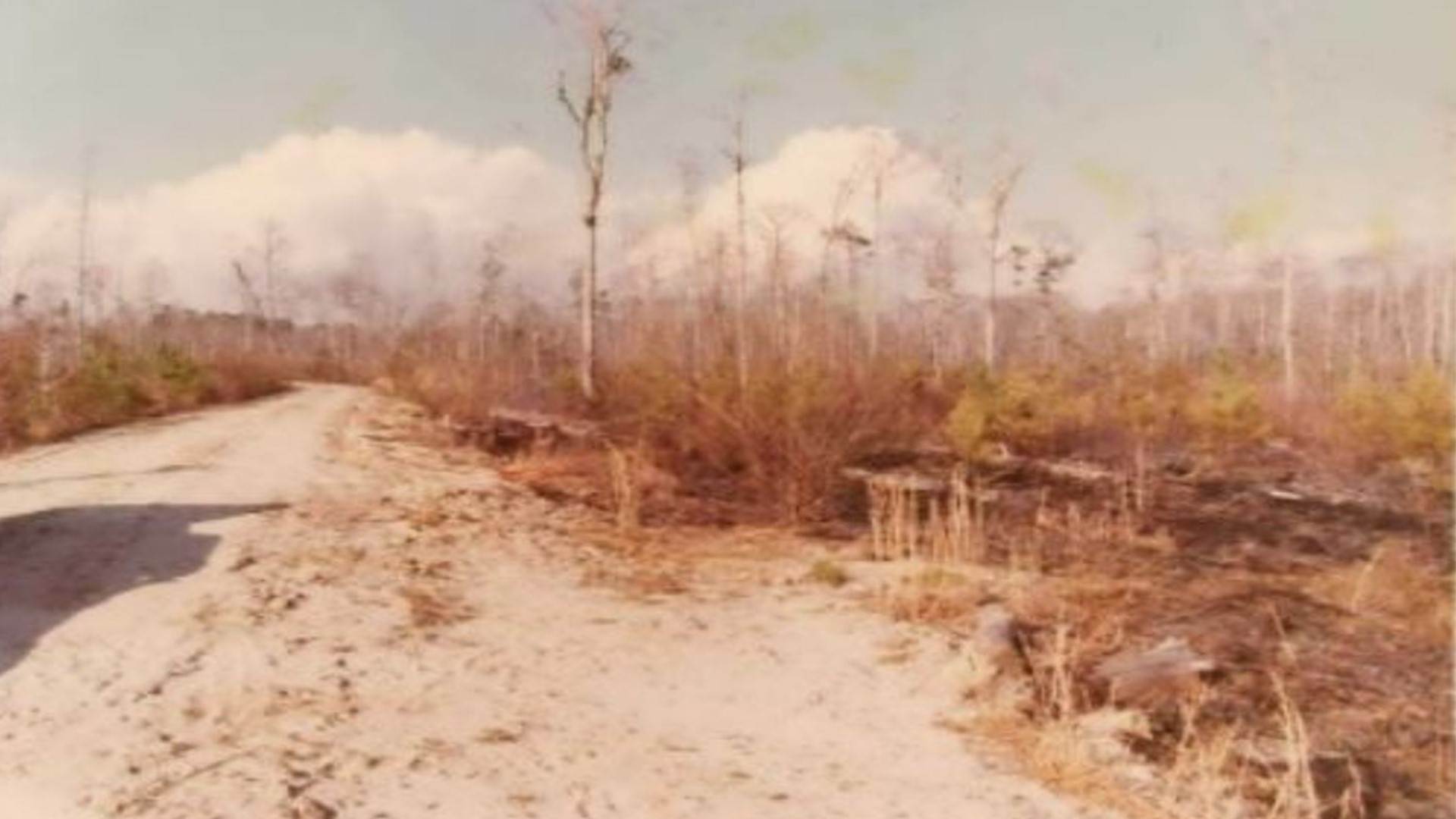 Blood Splatters: A Timeline of the Bishop family murders | wfmynews2.com