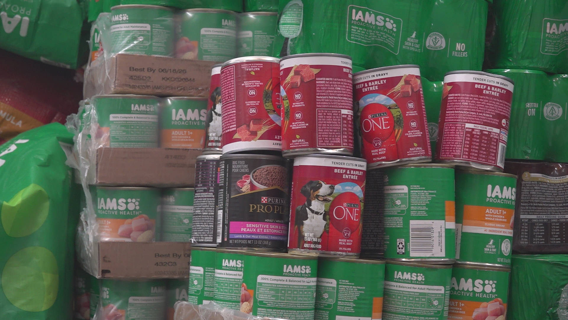 Forsyth Human Society collects pet supplies for Helene victims ...