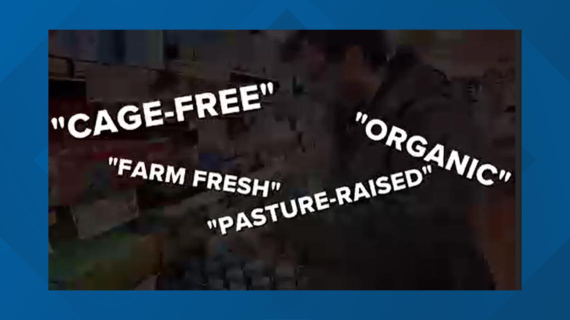 What egg labels like organic, cage-free and free-range really mean ...
