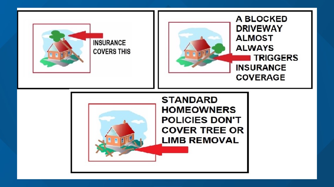 Tree damage: whose insurance pays when a tree falls on your house ...