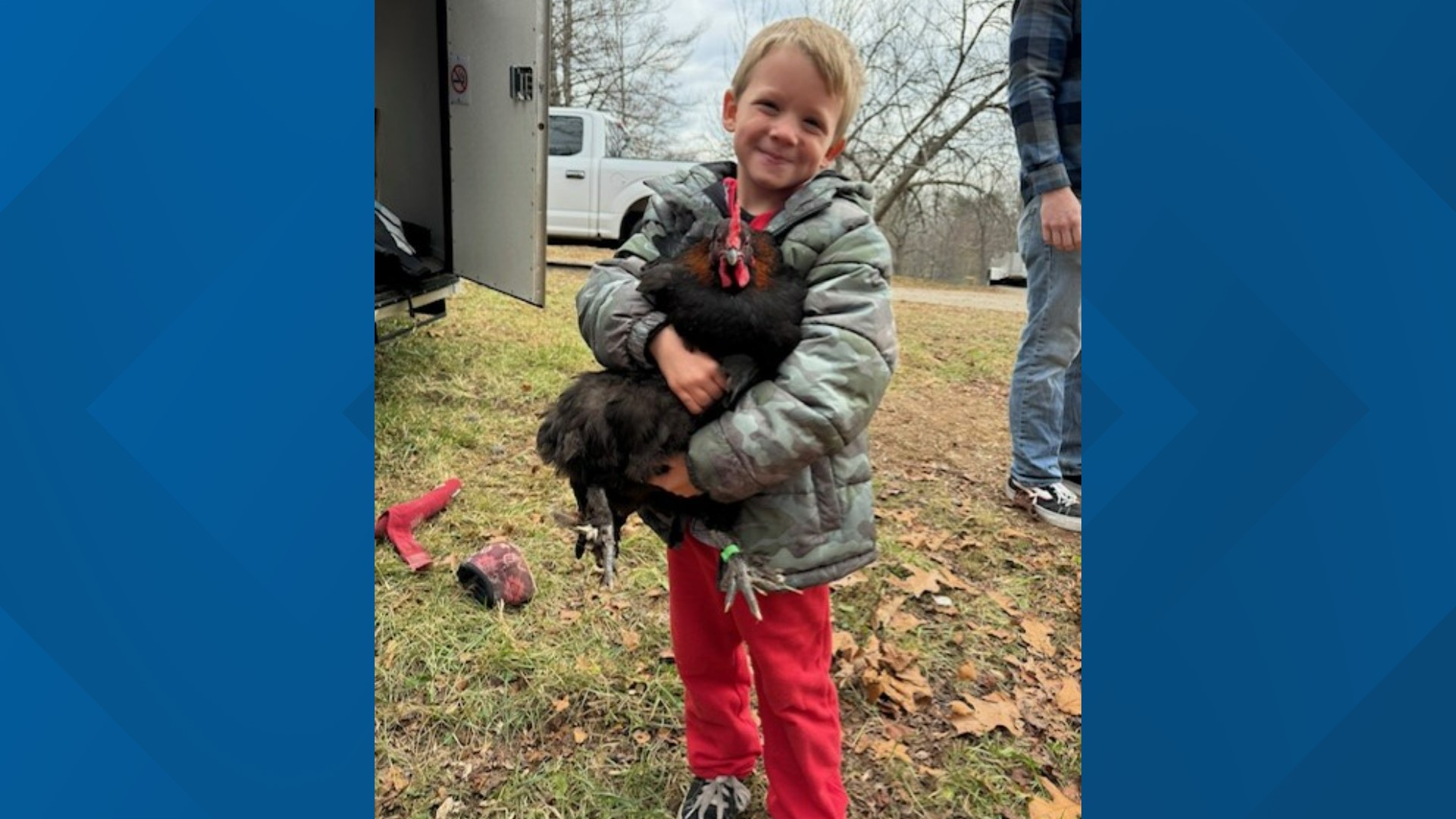 6-year-old recovering after he was crushed by tree in Asheville ...