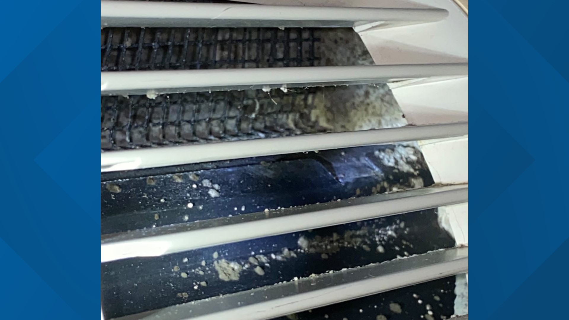 NC A&T students say mold in dorms is making some sick | wfmynews2.com
