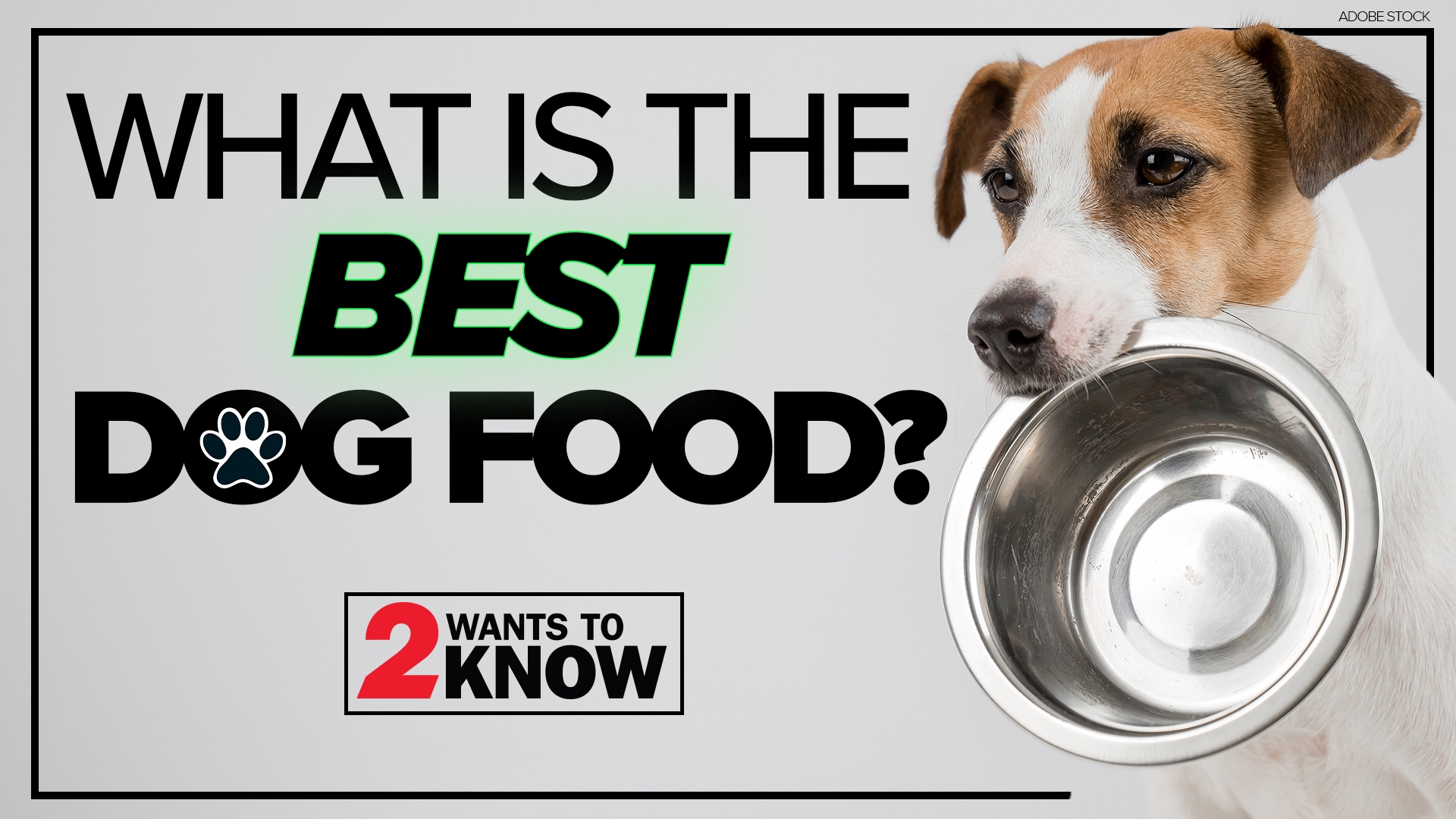 Is the food you're feeding your dog safe? Consumer Reports tests 50 ...