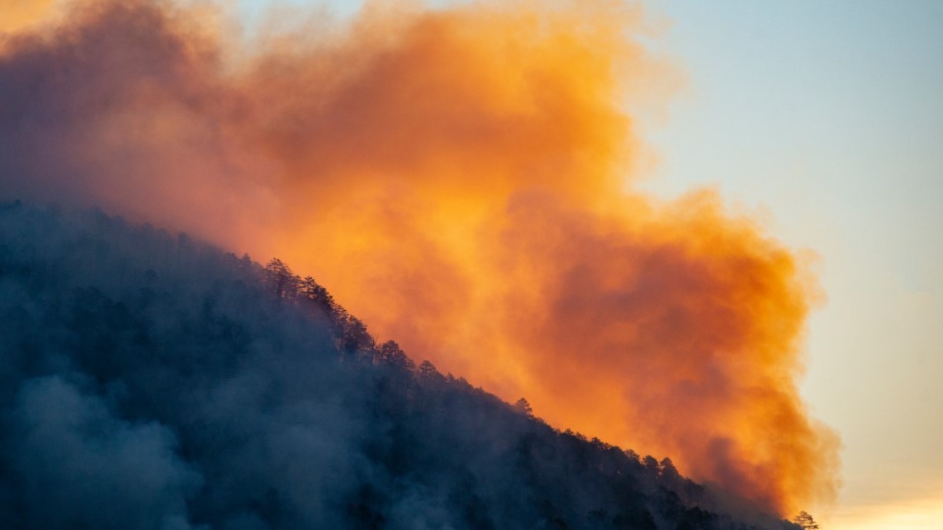 Pilot Mountain wildfire grows to more than 1,000 acres | wfmynews2.com
