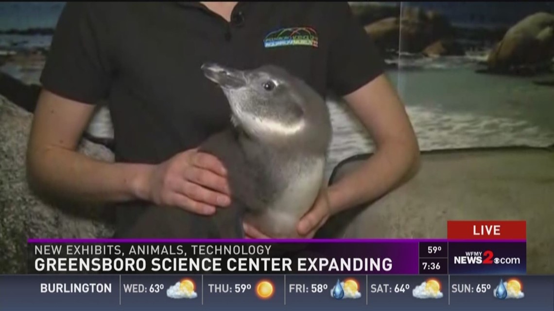 New Exhibits & Animals Greensboro Science Center Expanding | wfmynews2.com