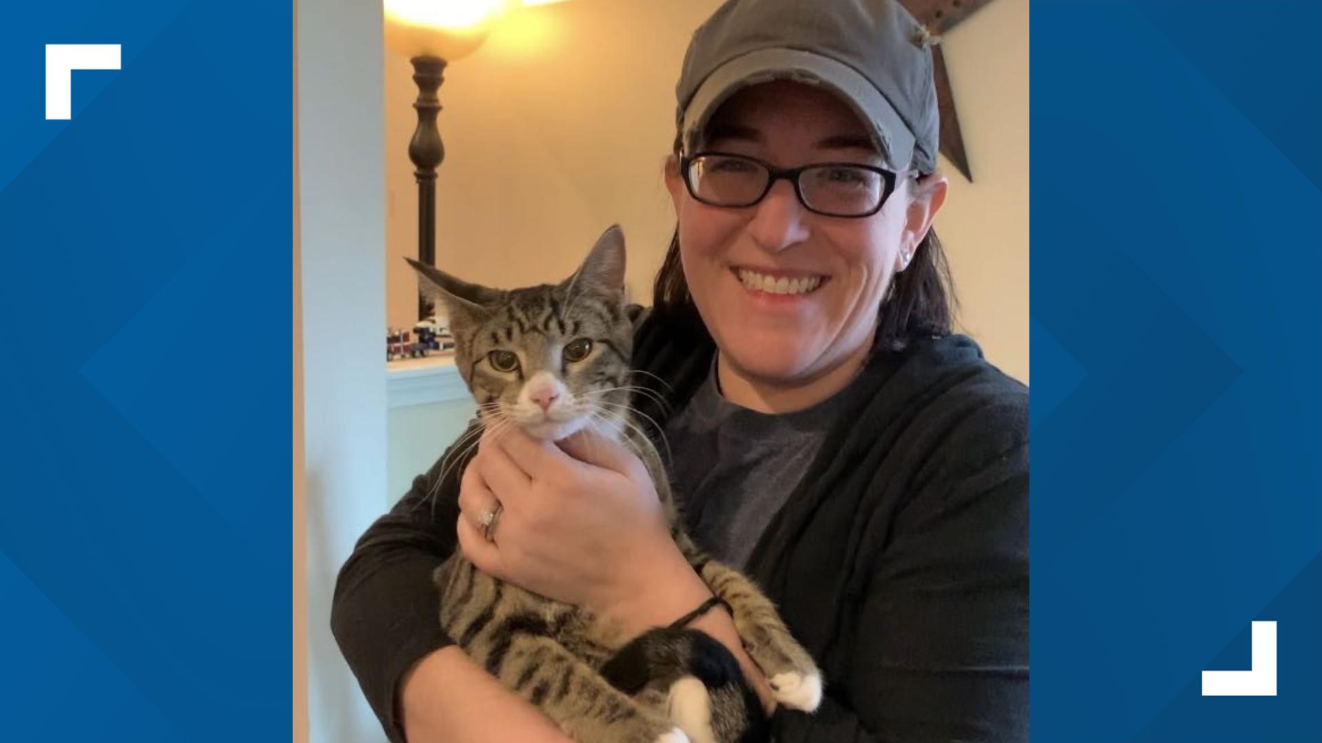 Missing cat reunited with NC family after 18 months | wfmynews2.com