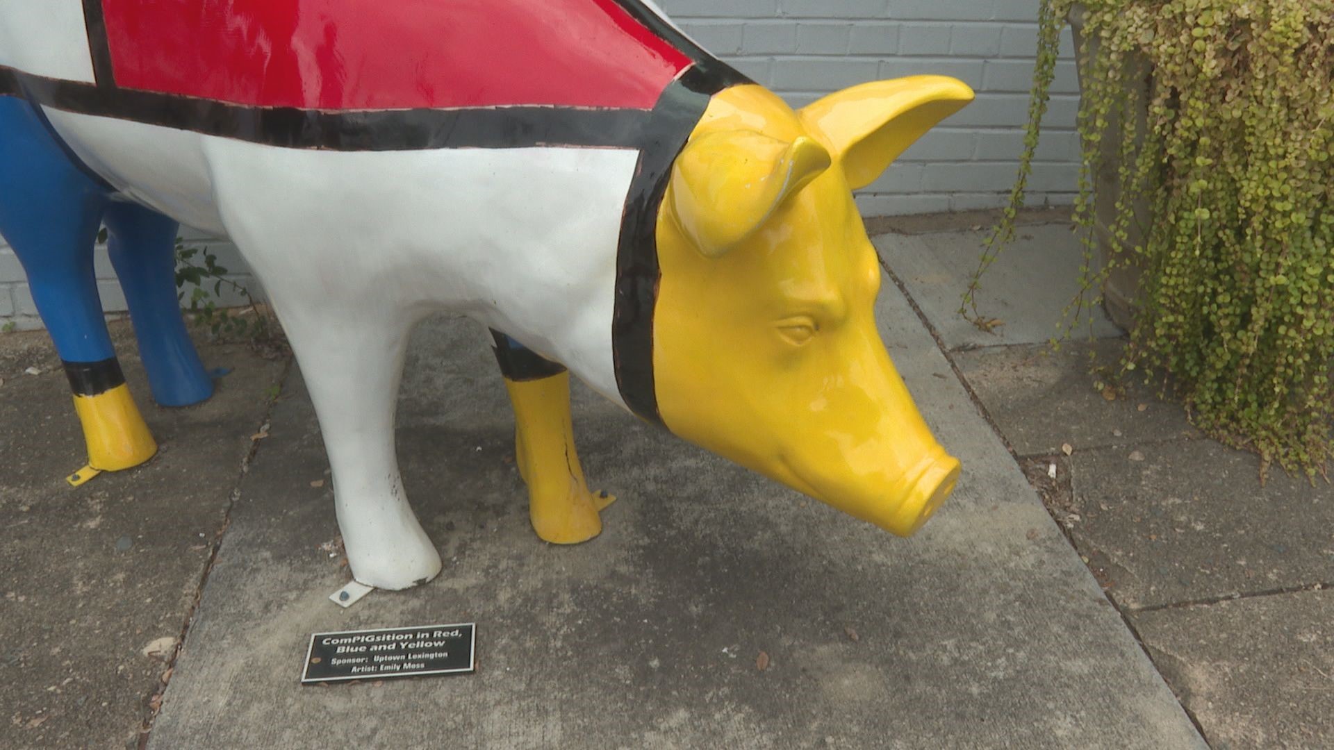 Pigs in the City: The meaning behind the pigs in Lexington | wfmynews2.com