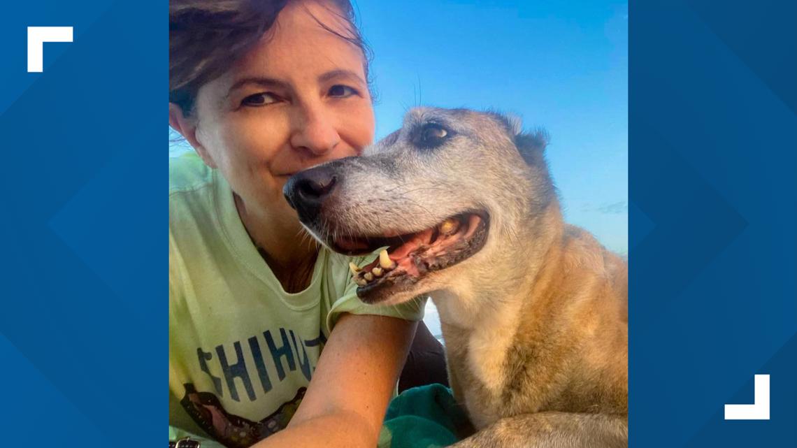 Susie’s Hope nonprofit closes after 16 years of animal advocacy ...