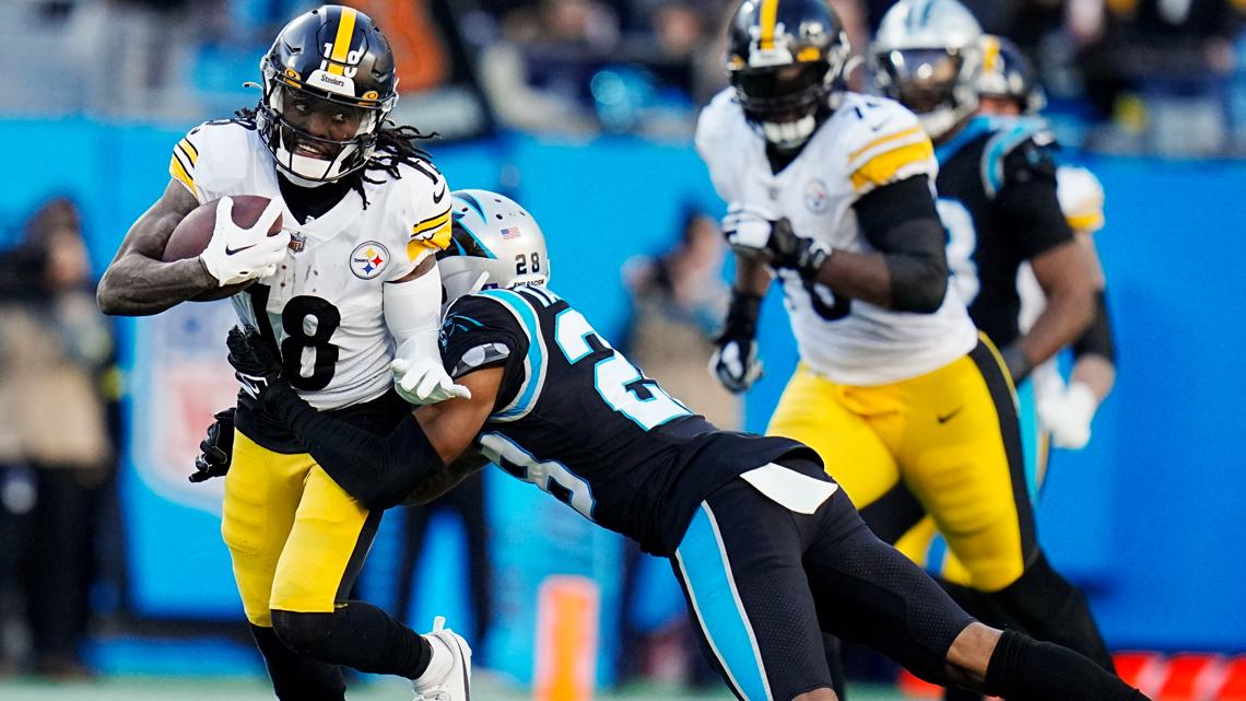 Panthers fall to Pittsburg Steelers 24-16 | wfmynews2.com