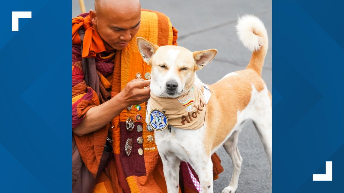 Aloka the peace dog recovering after leg surgery, monks say | wfmynews2.com
