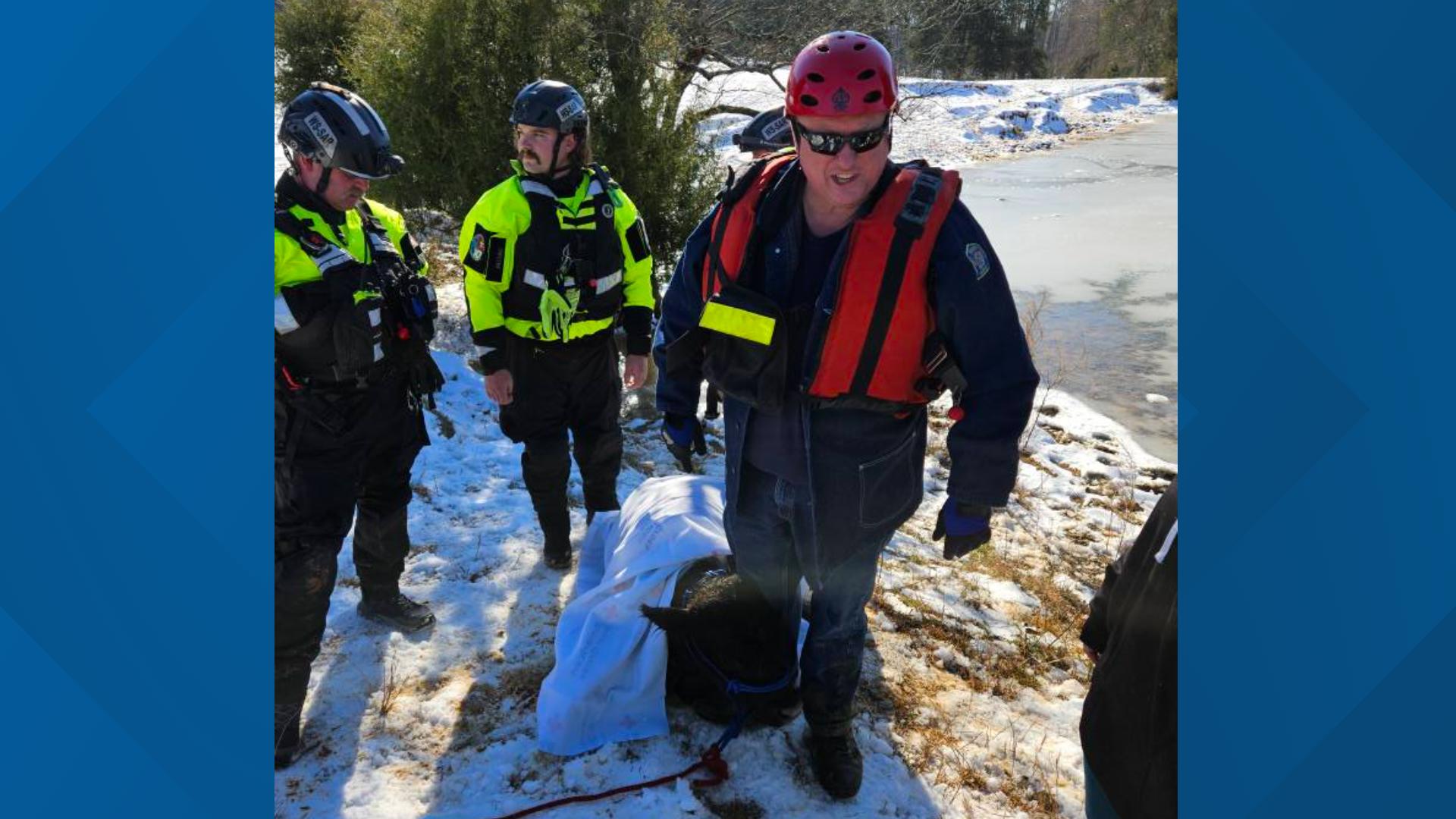 Emergency crews rescue calf, owner from frozen pond in Winston-Salem ...