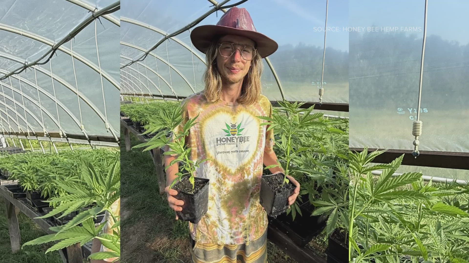 State legislatures cracking down on the hemp industry | wfmynews2.com