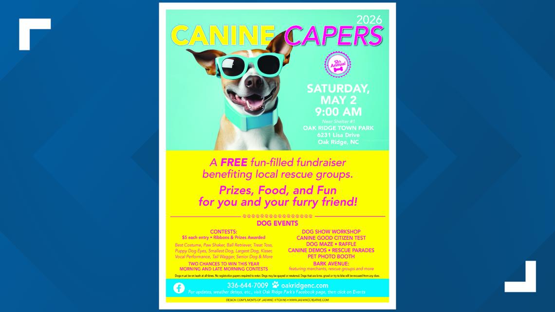 Canine Capers: Free event for dogs and their people on Saturday, May 2 ...